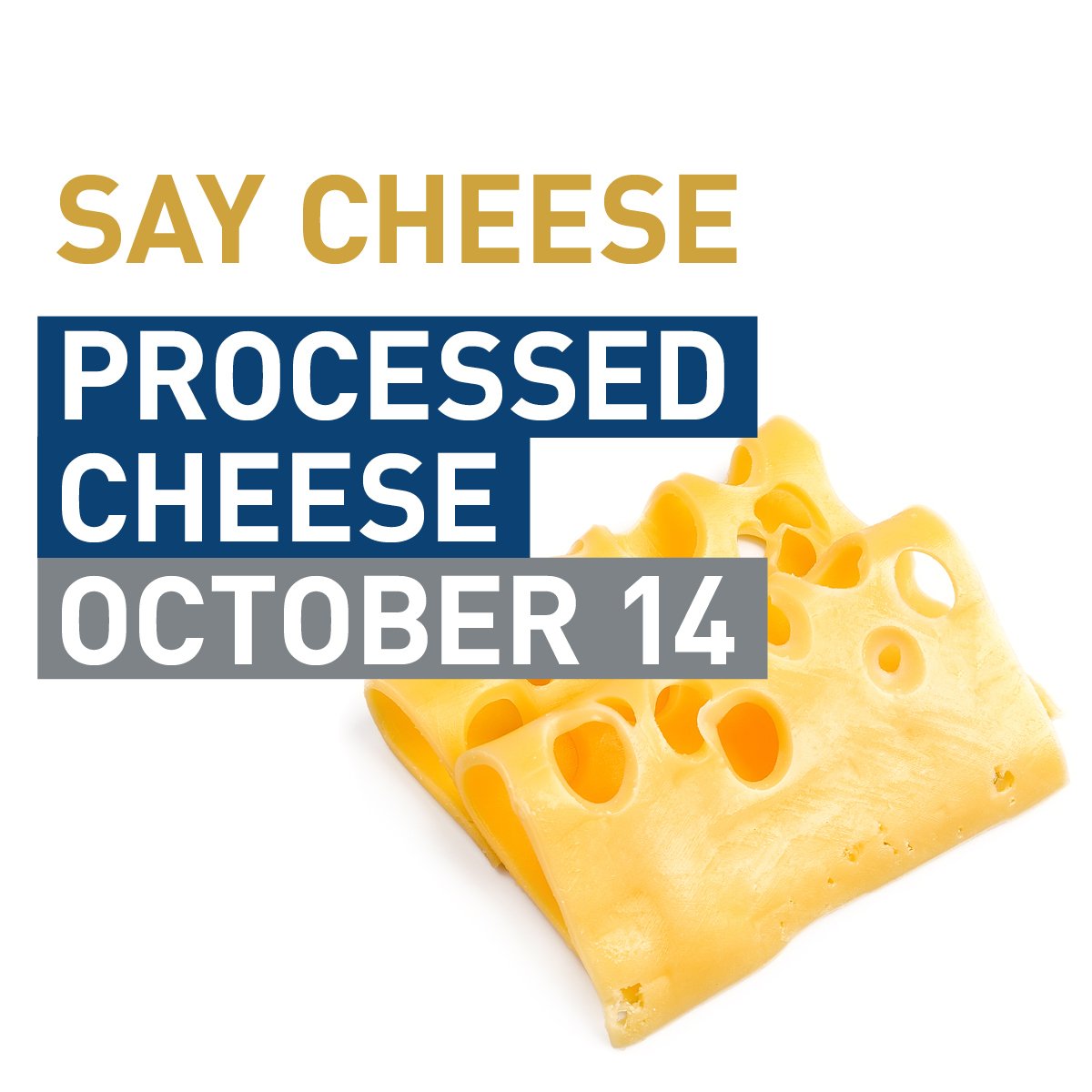 ProXES Webinar | Processed Cheese Technology